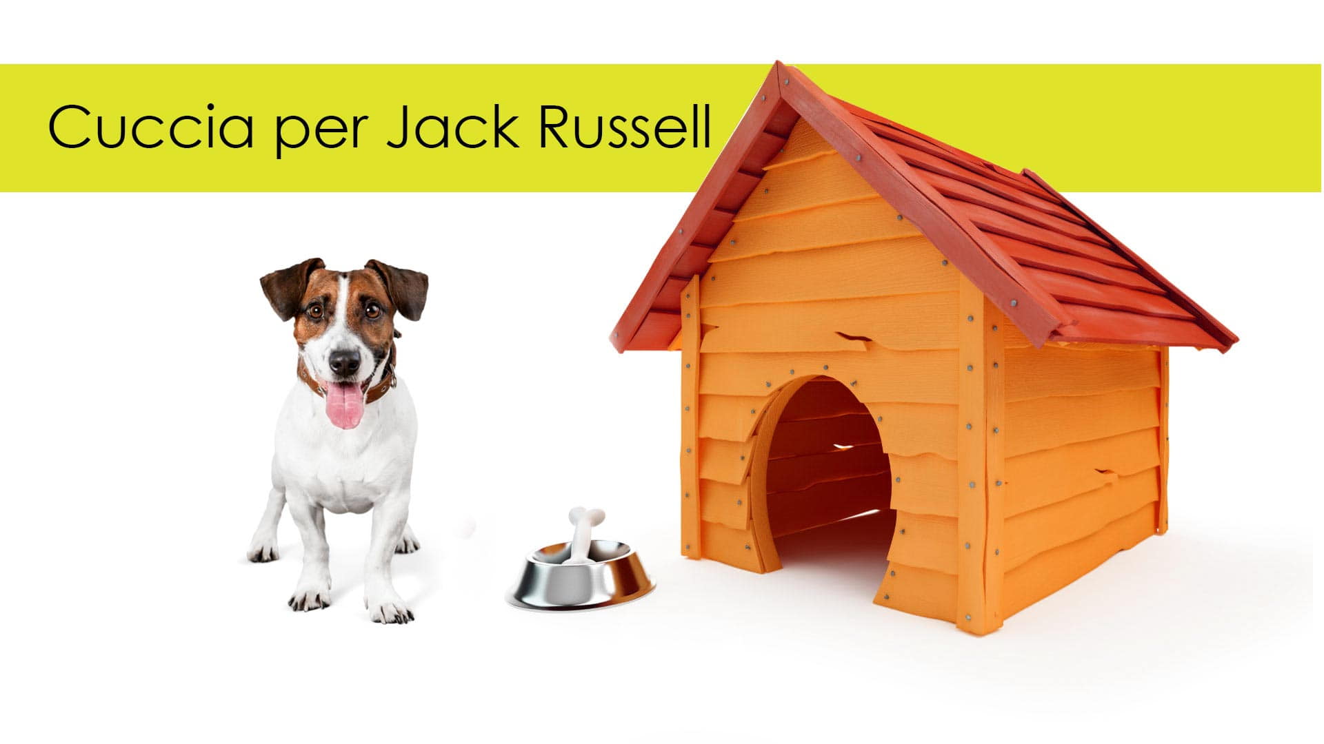 Cuccia per Jack Russell: come sceglierla e tutti i modelli consigliati