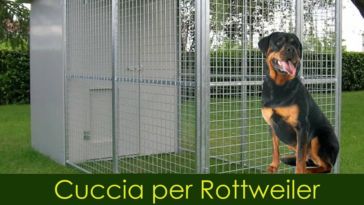Cucce per Rottweiler: guida su come scegliere il modello ideale